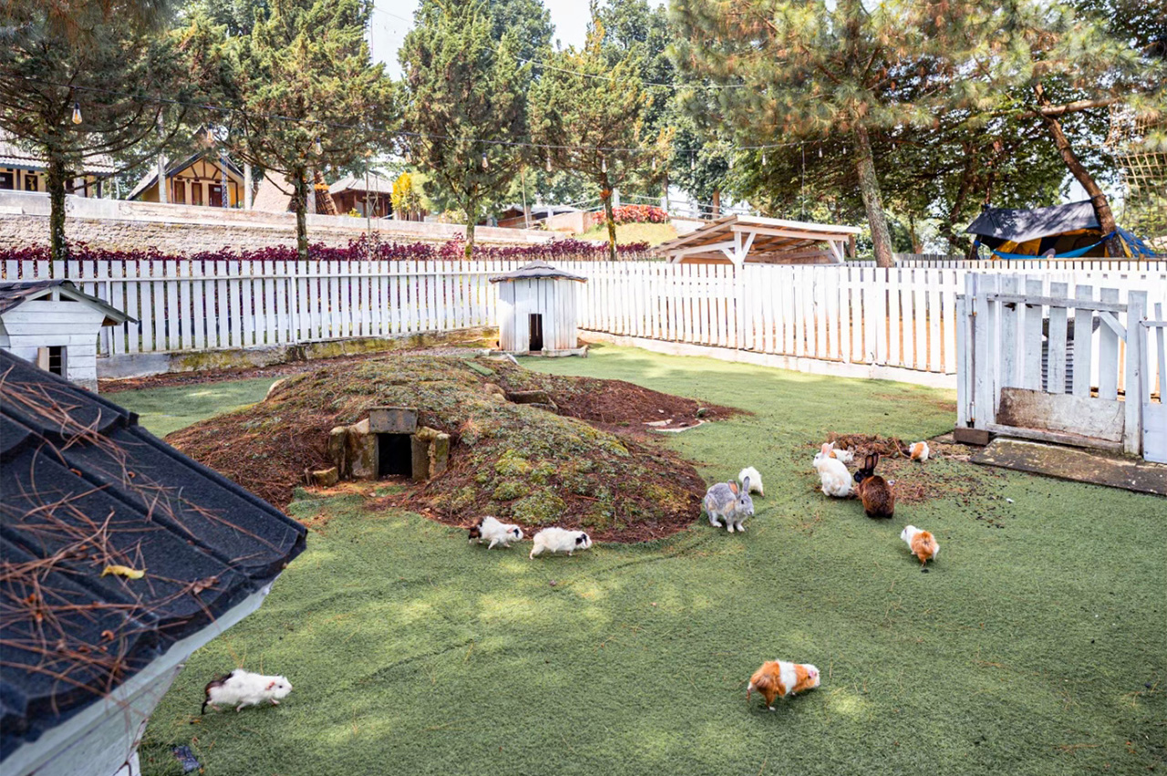 Elji Resort & Resto - Elji Resort & Resto